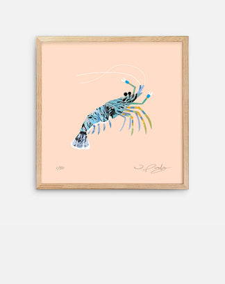 Rock Pool Shrimp | Art Print – Sunny Beast