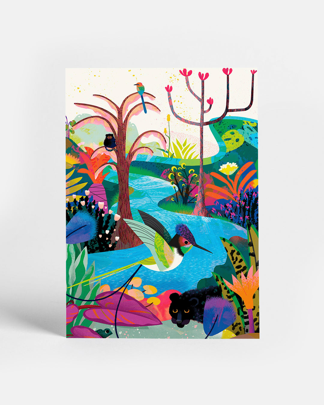 Amazon Rainforest | Postcard – Sunny Beast