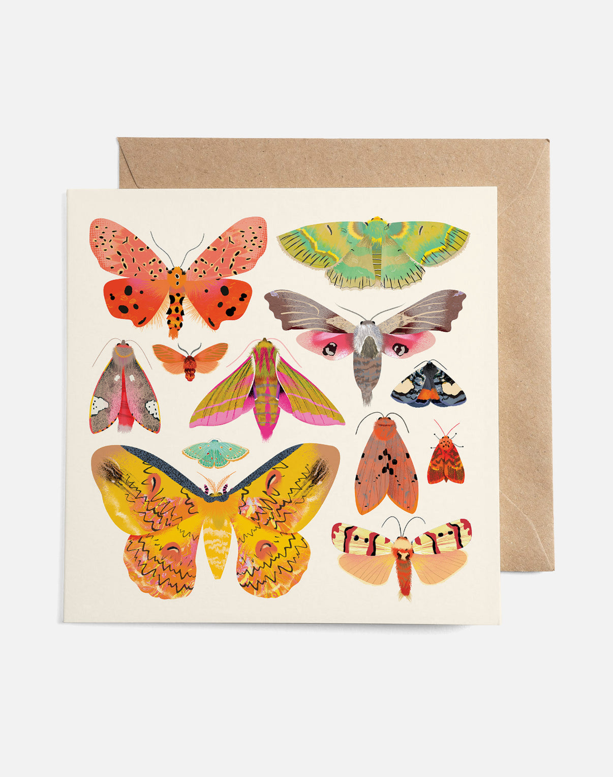 Moth Collection | Card – Sunny Beast