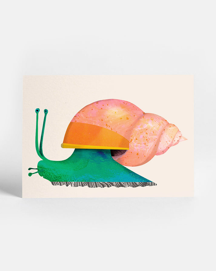 Snail Mail | Postcard – Sunny Beast
